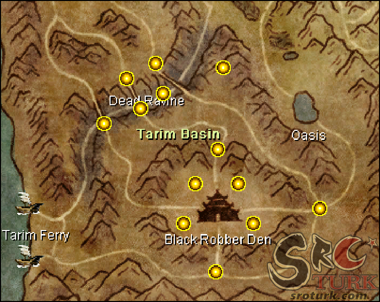 ViPSrO Online | PvP Server Tanıtım ve Online İstatistikler | SroTURK